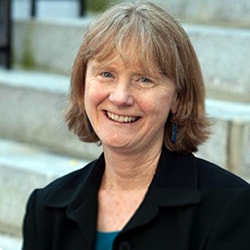 We the People (14th Essentials Edition) - eBook